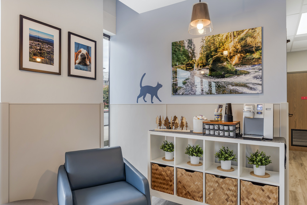 Veterinarian in Bothell, WA | Livewell Animal Urgent Care of Bothell ...