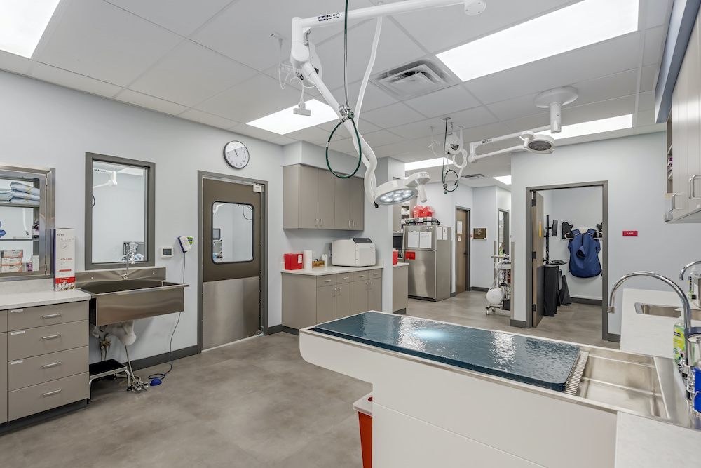 Veterinarian in Bothell, WA | Livewell Animal Urgent Care of Bothell ...