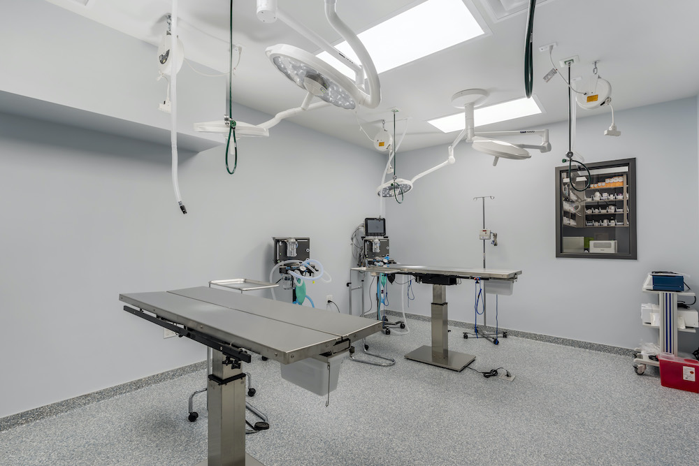 Veterinarian in Bothell, WA | Livewell Animal Urgent Care of Bothell ...